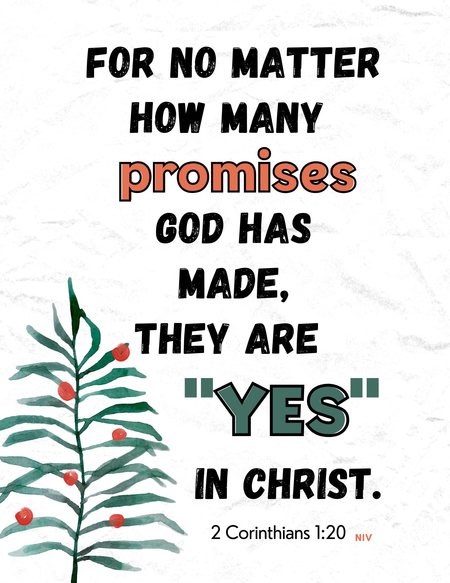 All God's Promises (Family Bible Study) - Little Shoots, Deep Roots