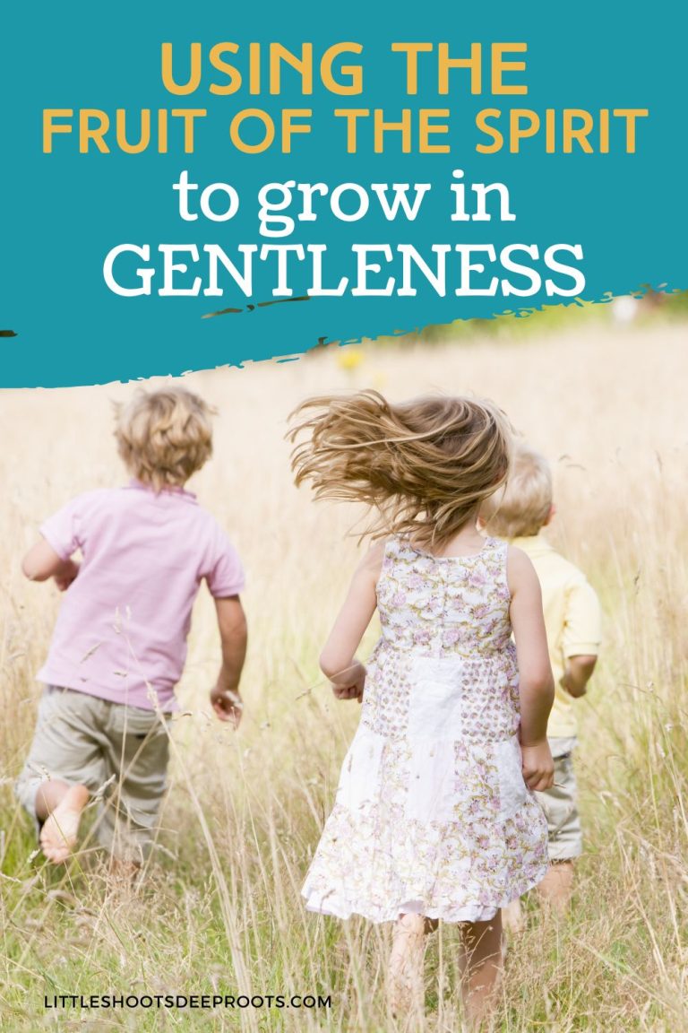 Fruit of the Spirit GENTLENESS: lesson plan and devotional