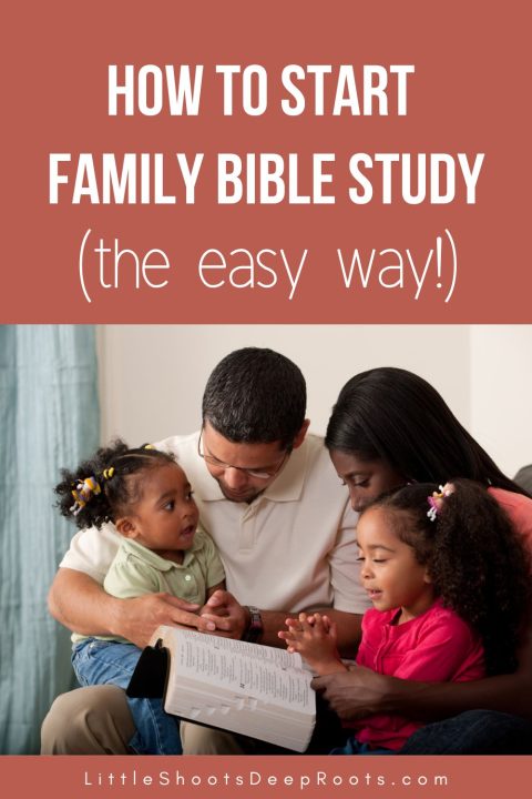 Family Bible Study: Planting Seeds of Faith, One Verse at a Time ...